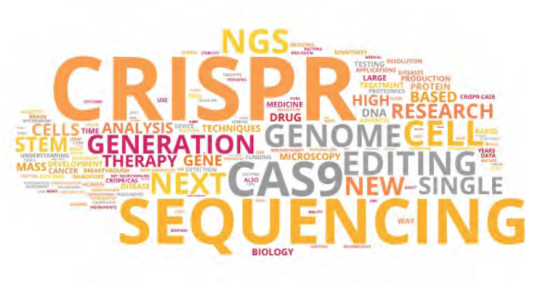 Promotion: Lab Budget Report - BioInformatics Inc.